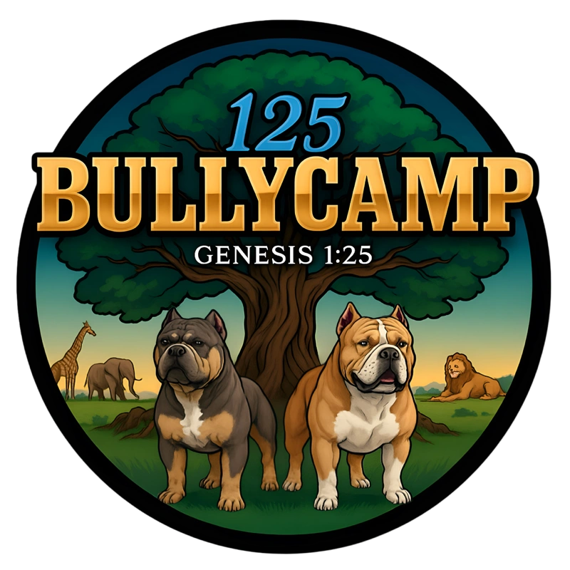 American Bully Puppies for Sale