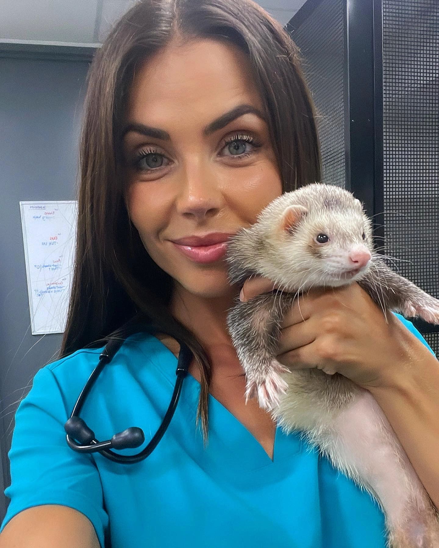 Expert Exotics Veterinarian - Gut Stasis and Veterinary E-Books