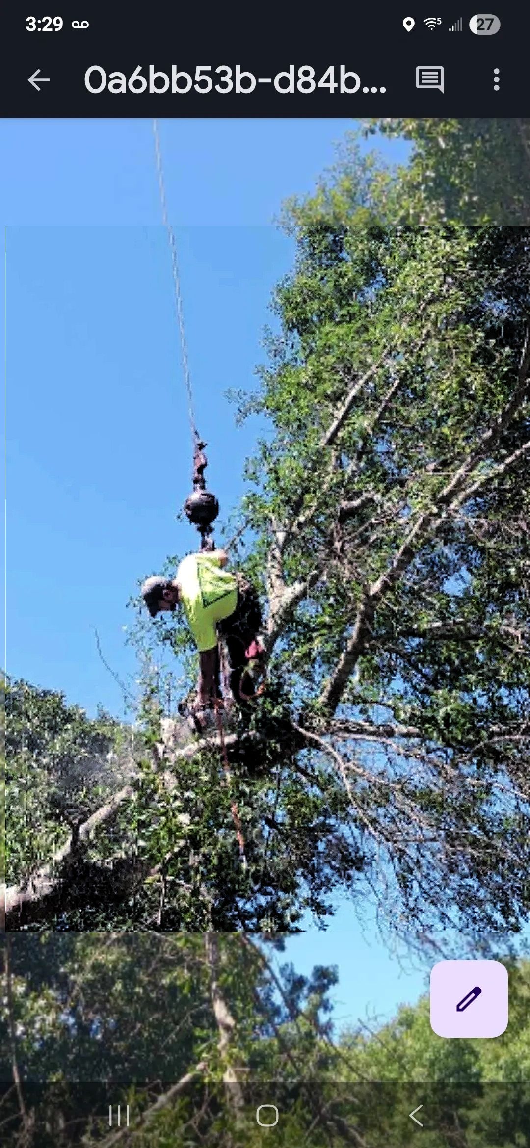 Smith Tree Services