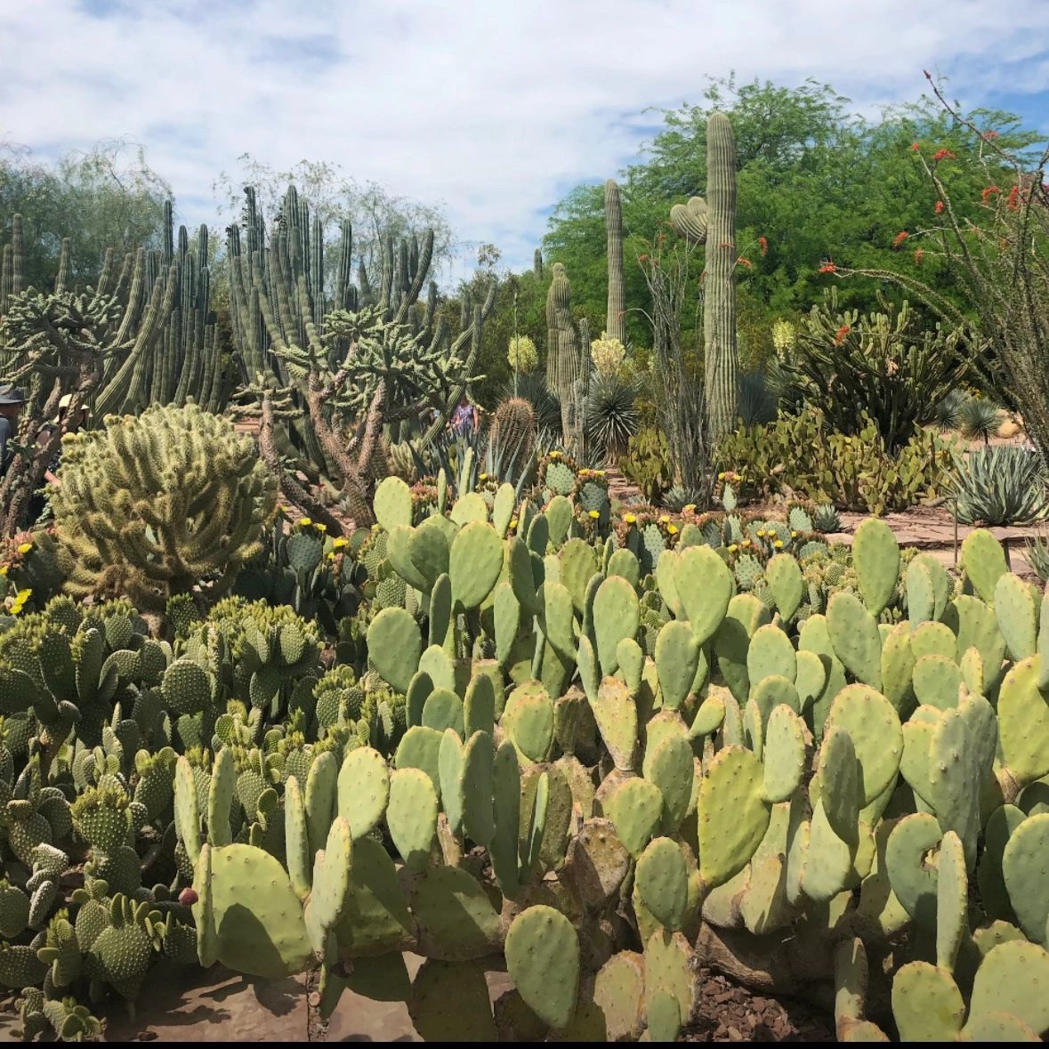 Human Nature Therapy