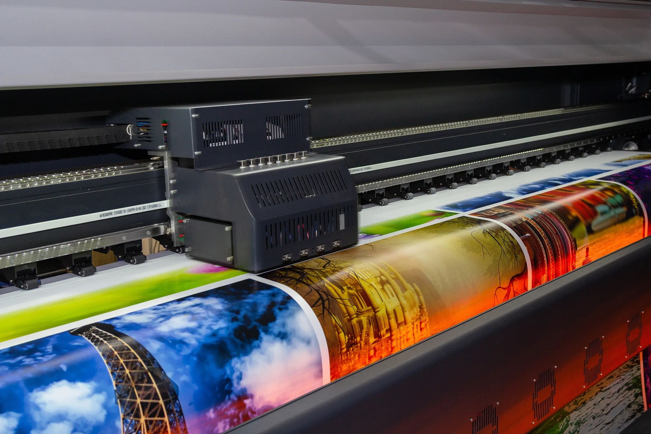 Dynamic Wraps, Professional Digital Printing and Vinyl Graphics ...
