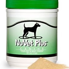 Beagle Puppies | Marti Acres