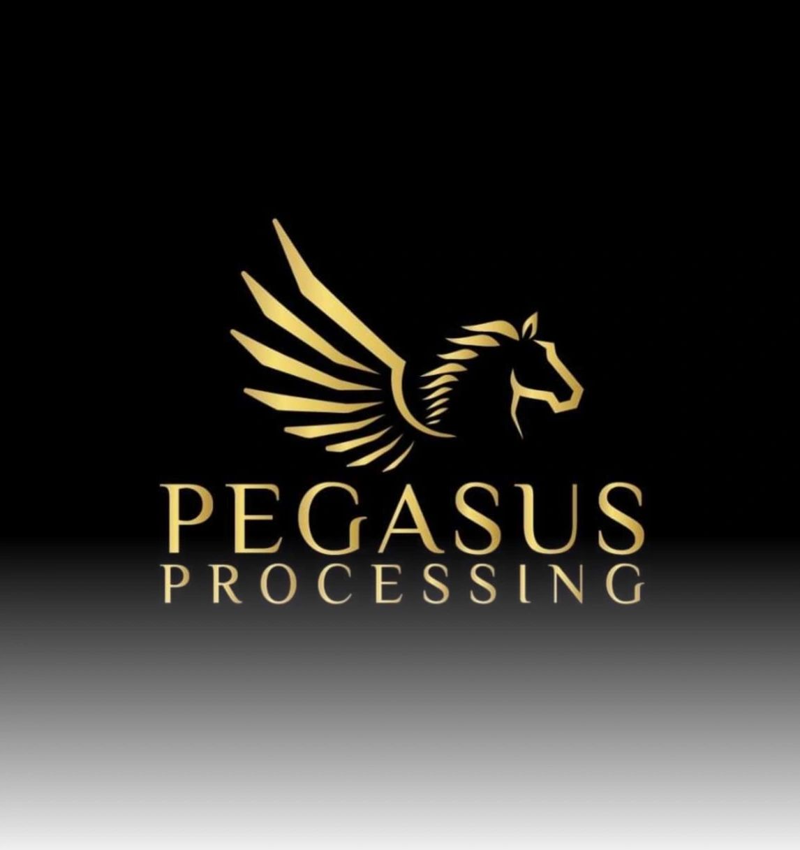 Pegasus Processing