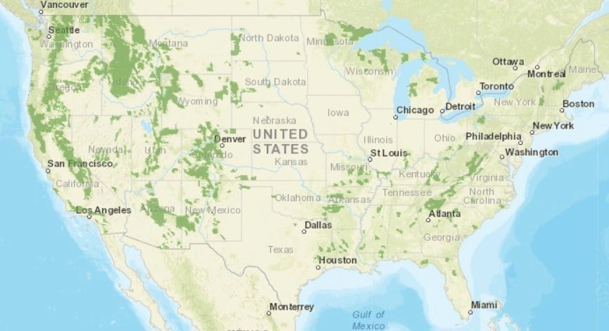 New Interactive Forest Map
