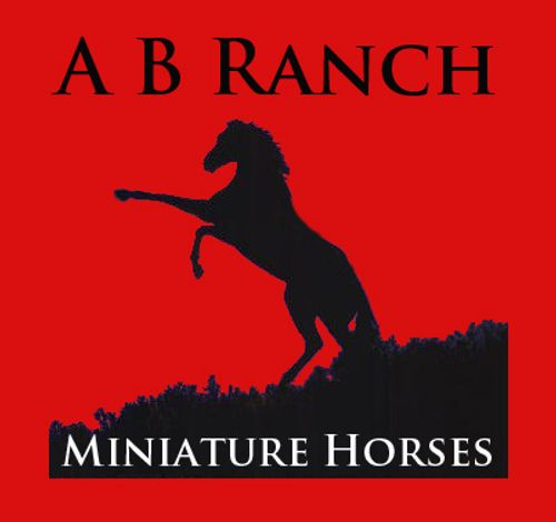 AB Ranch Minis