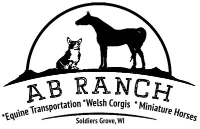 AB Ranch Minis