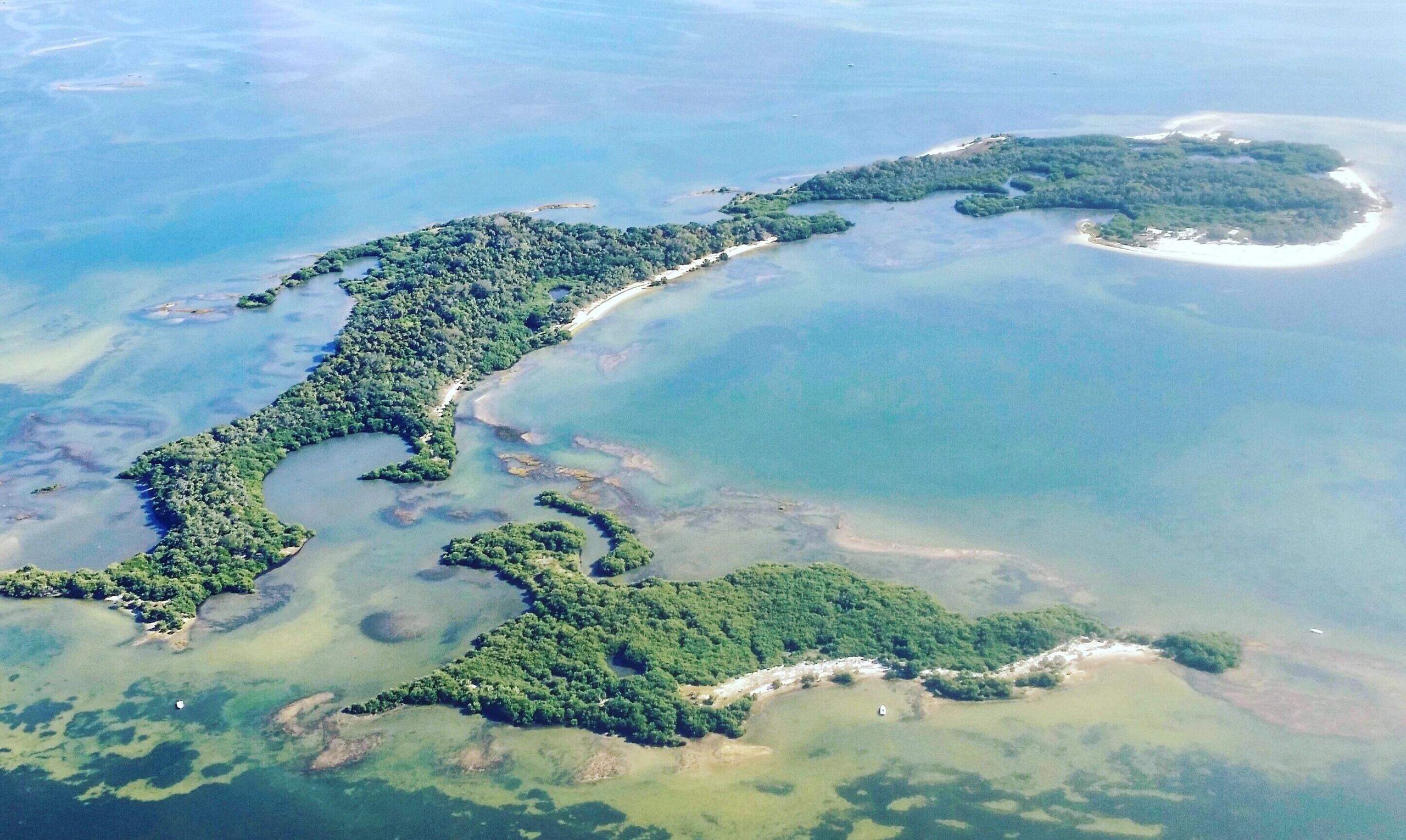Cedar Key Paddling - Water Sports Outfitter