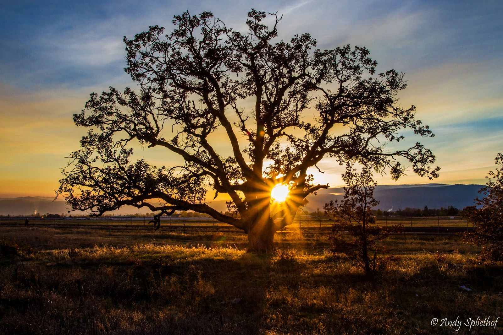 Beyrouty Employee Benefits