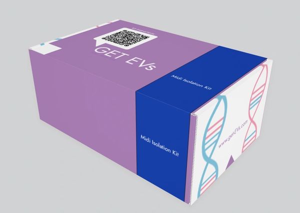 Isolation of Extracellular Vesicles - GET EVs