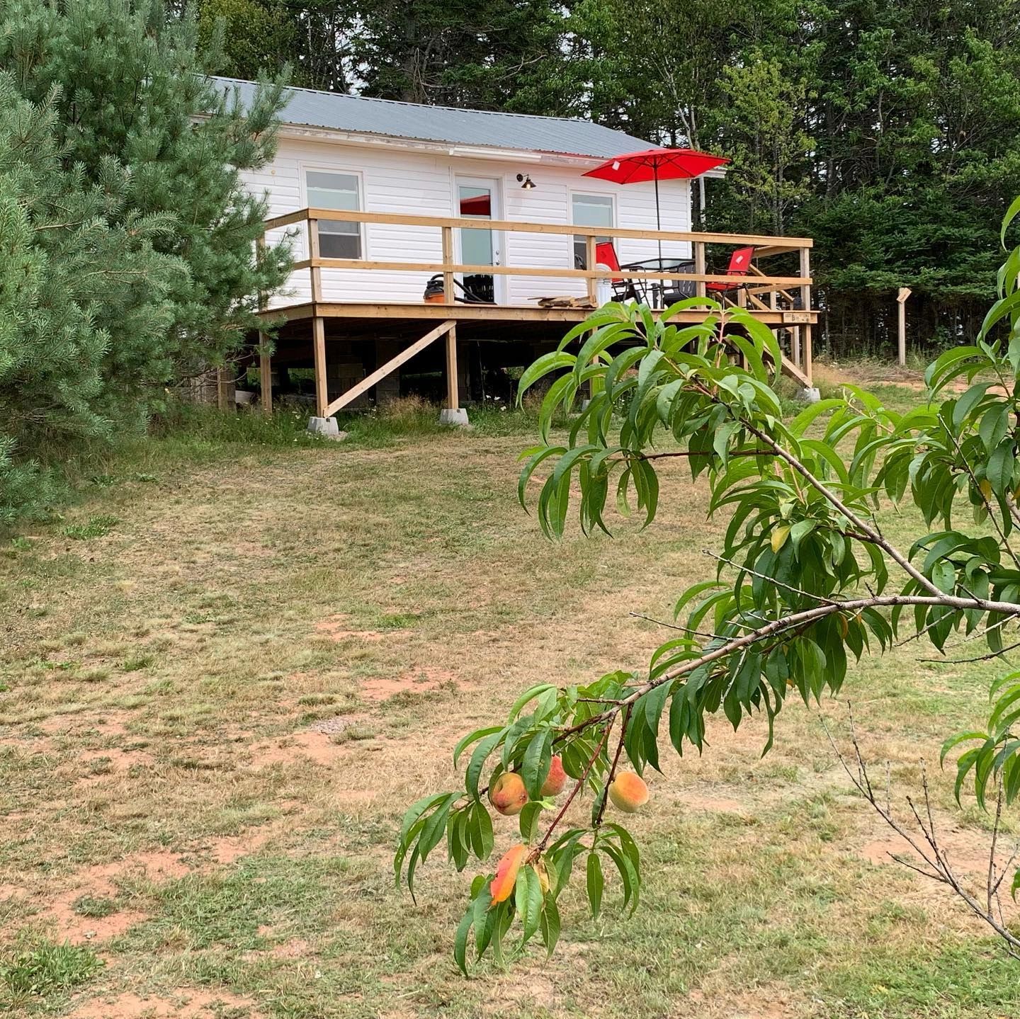 Your Ultimate Guide to Finding the Perfect Property for Sale