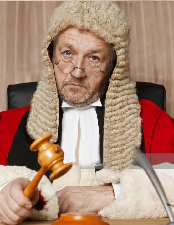 Contact Us | politically correct police