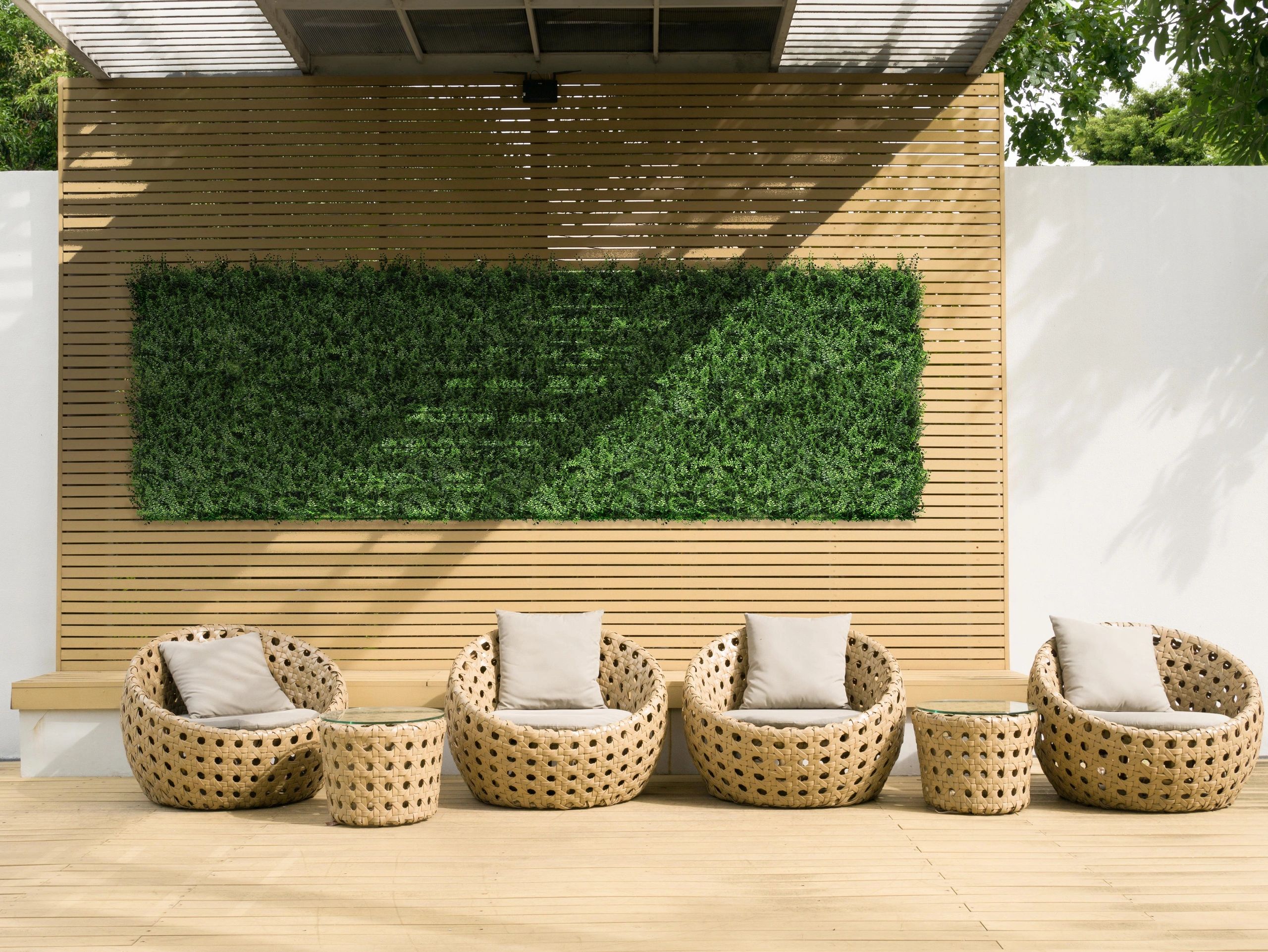 Ivy Walls