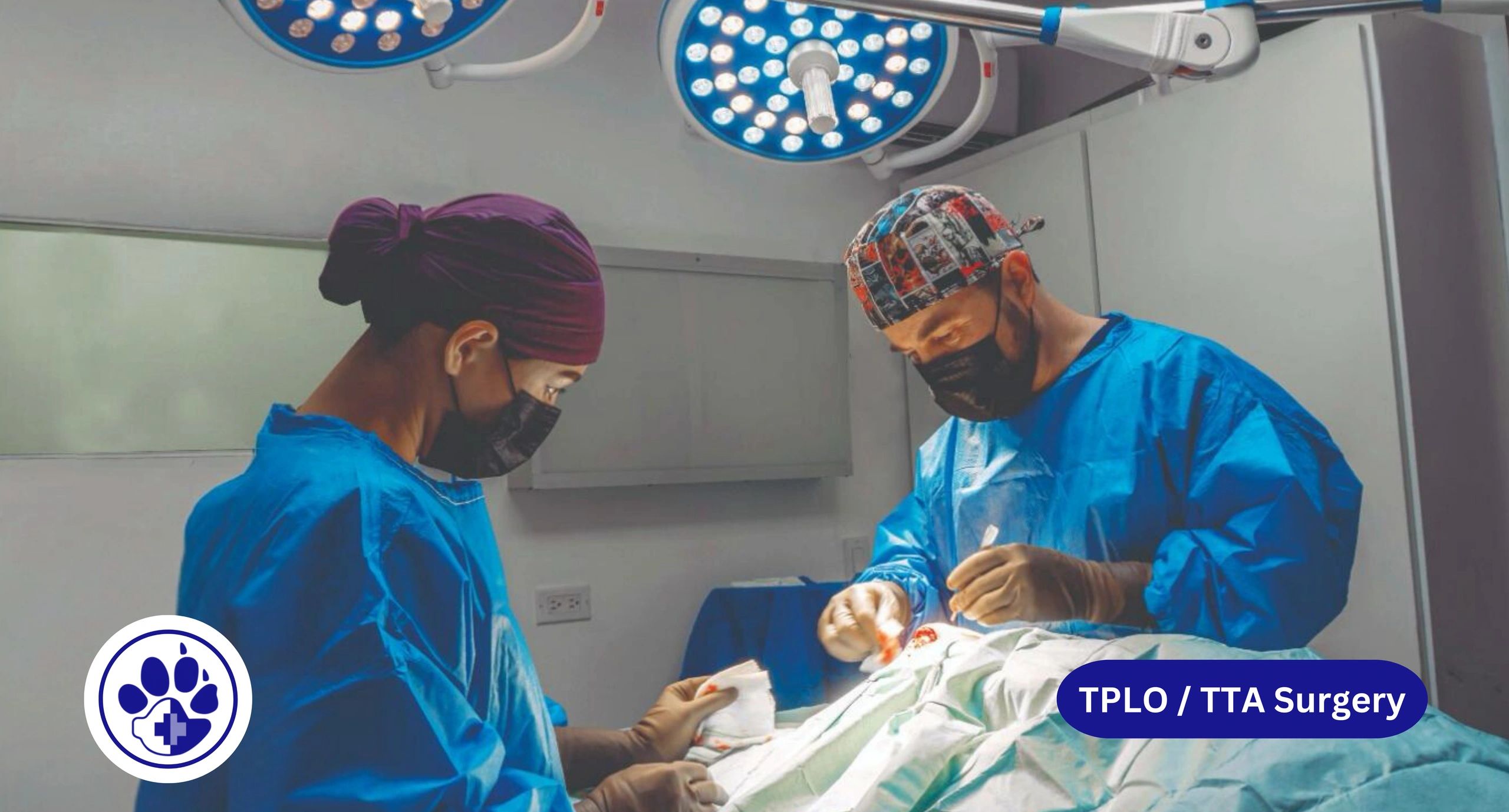 TPLO / TTA Surgery