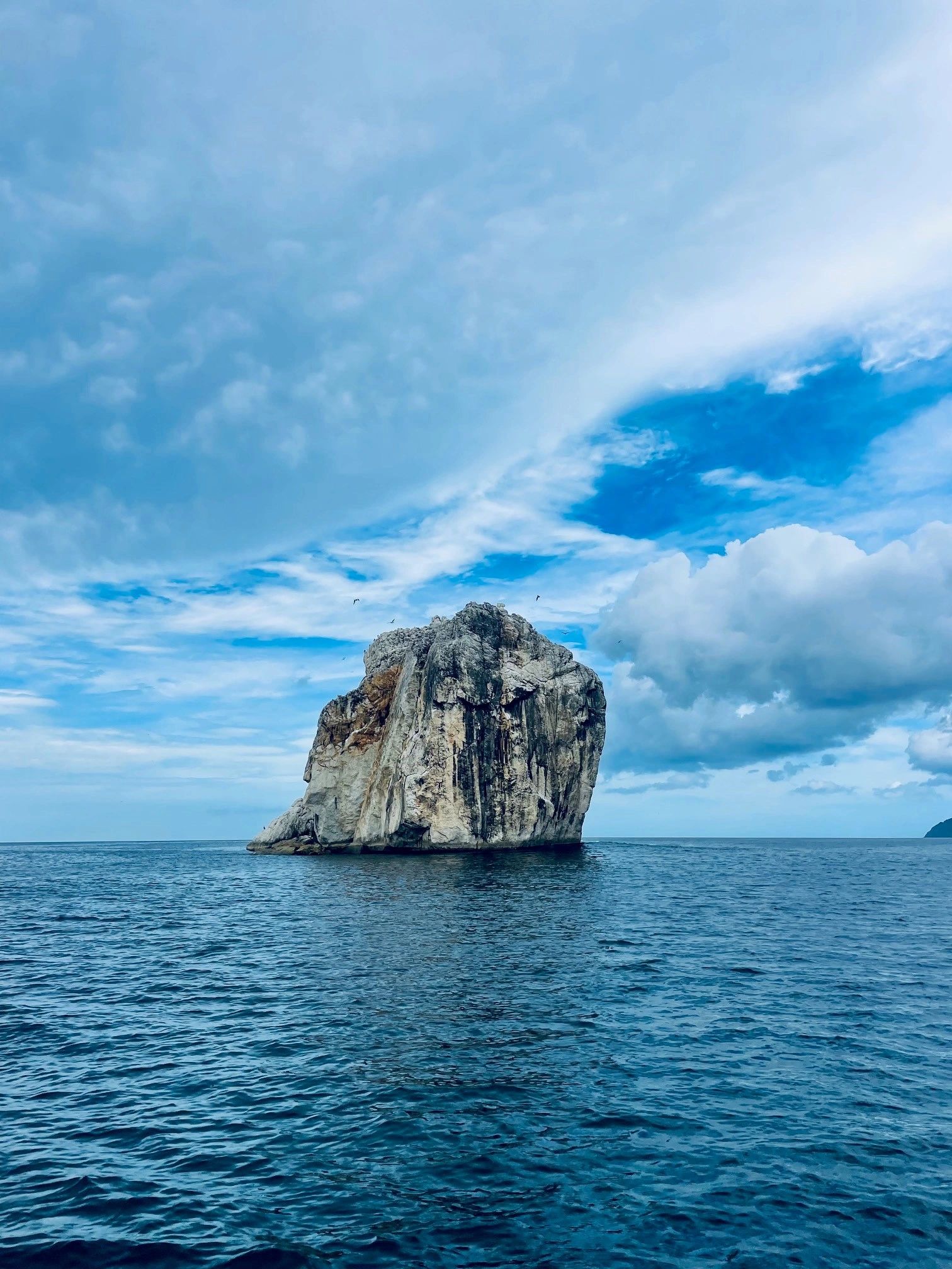 Newland Realty Capital, LLC