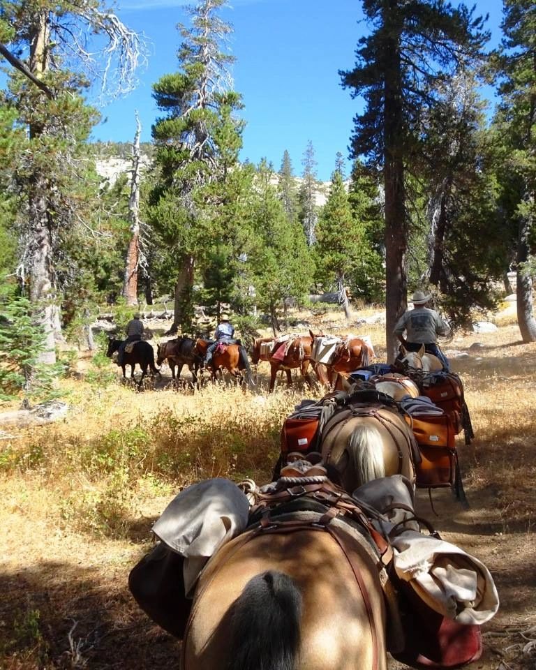 ABOUT US | Backcountry Horsemen of California- Mother Lode Unit
