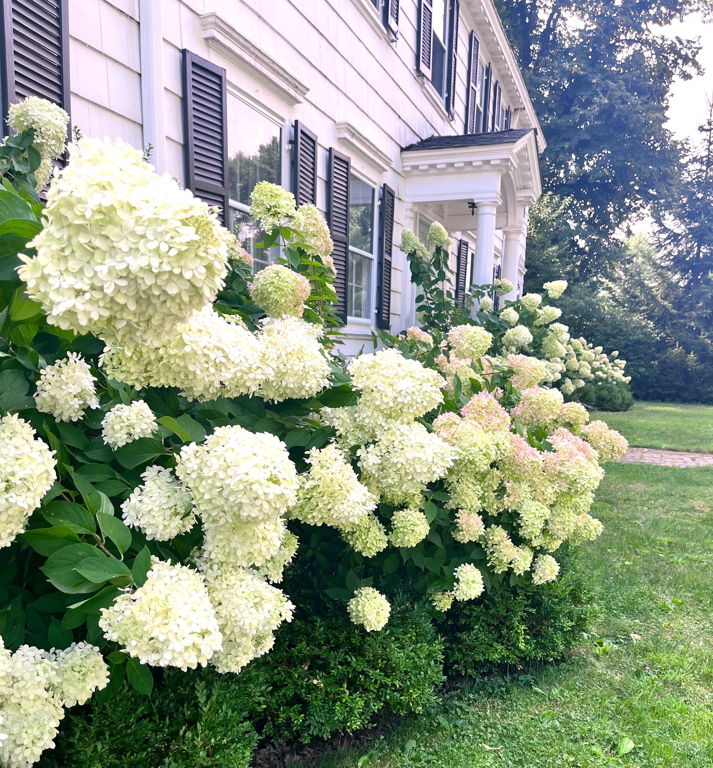 Courtney Conway Garden Design