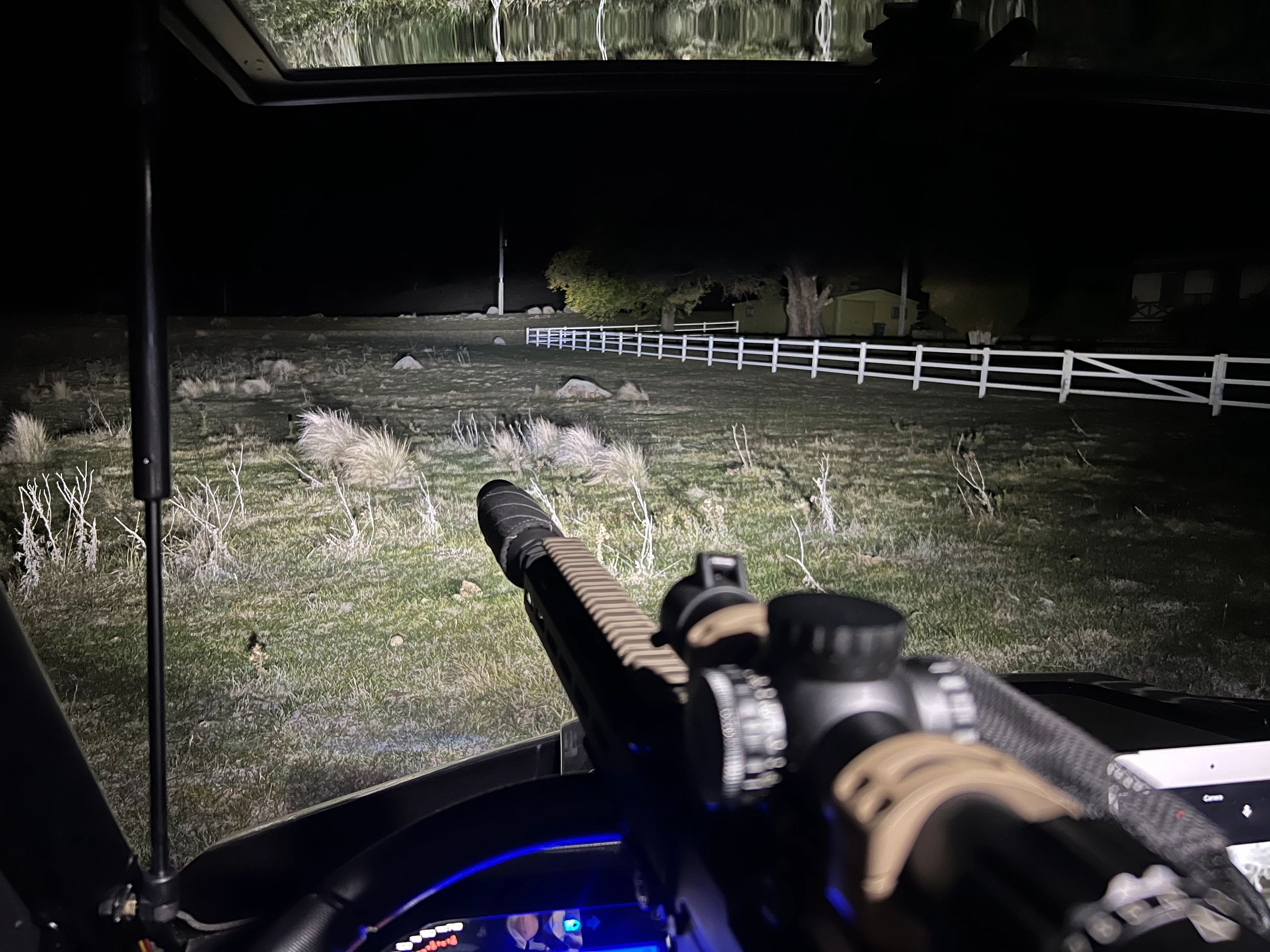 Expert Vertebrate Control Services - Bush Smart