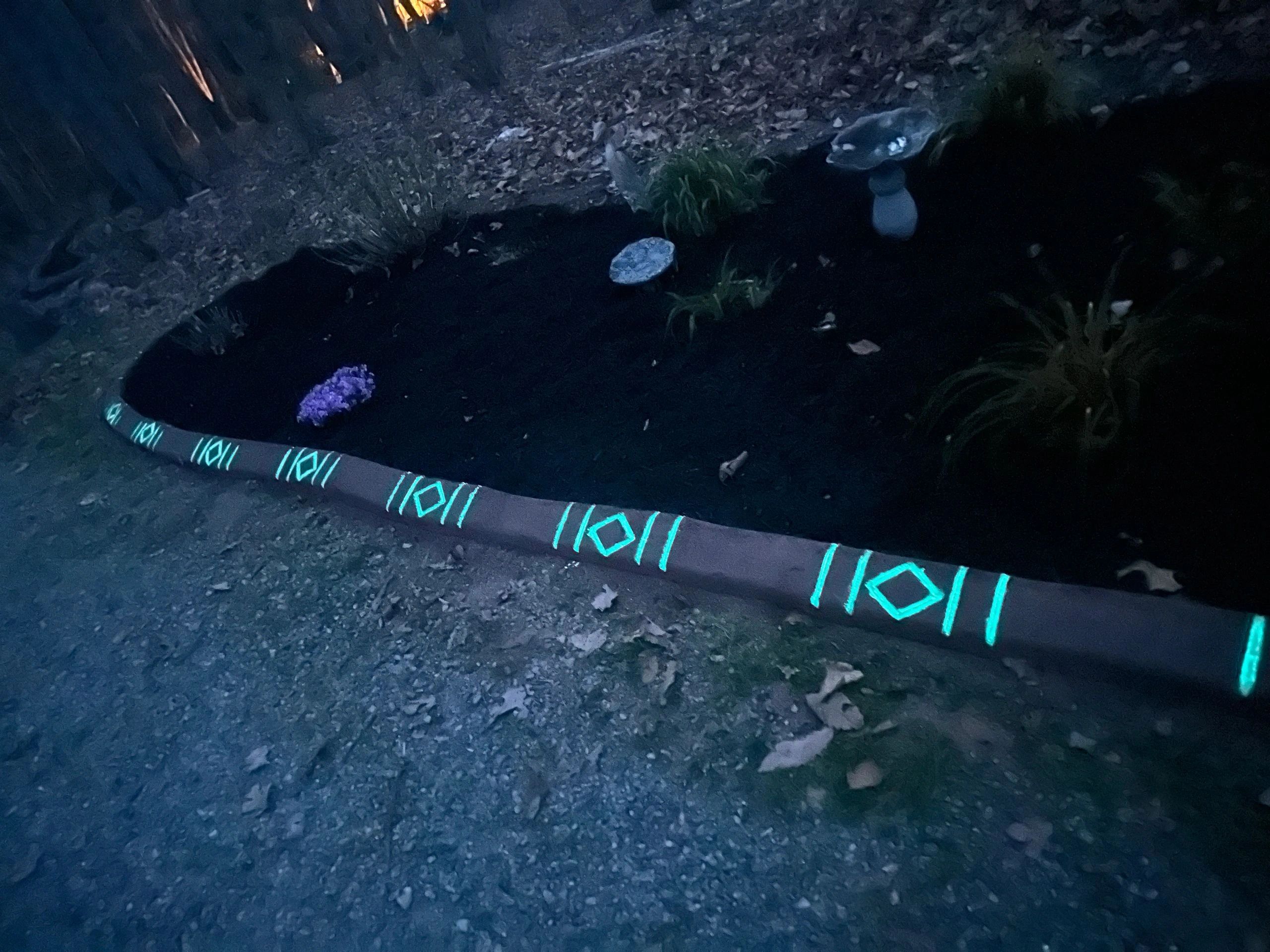 Borderline Fancypants