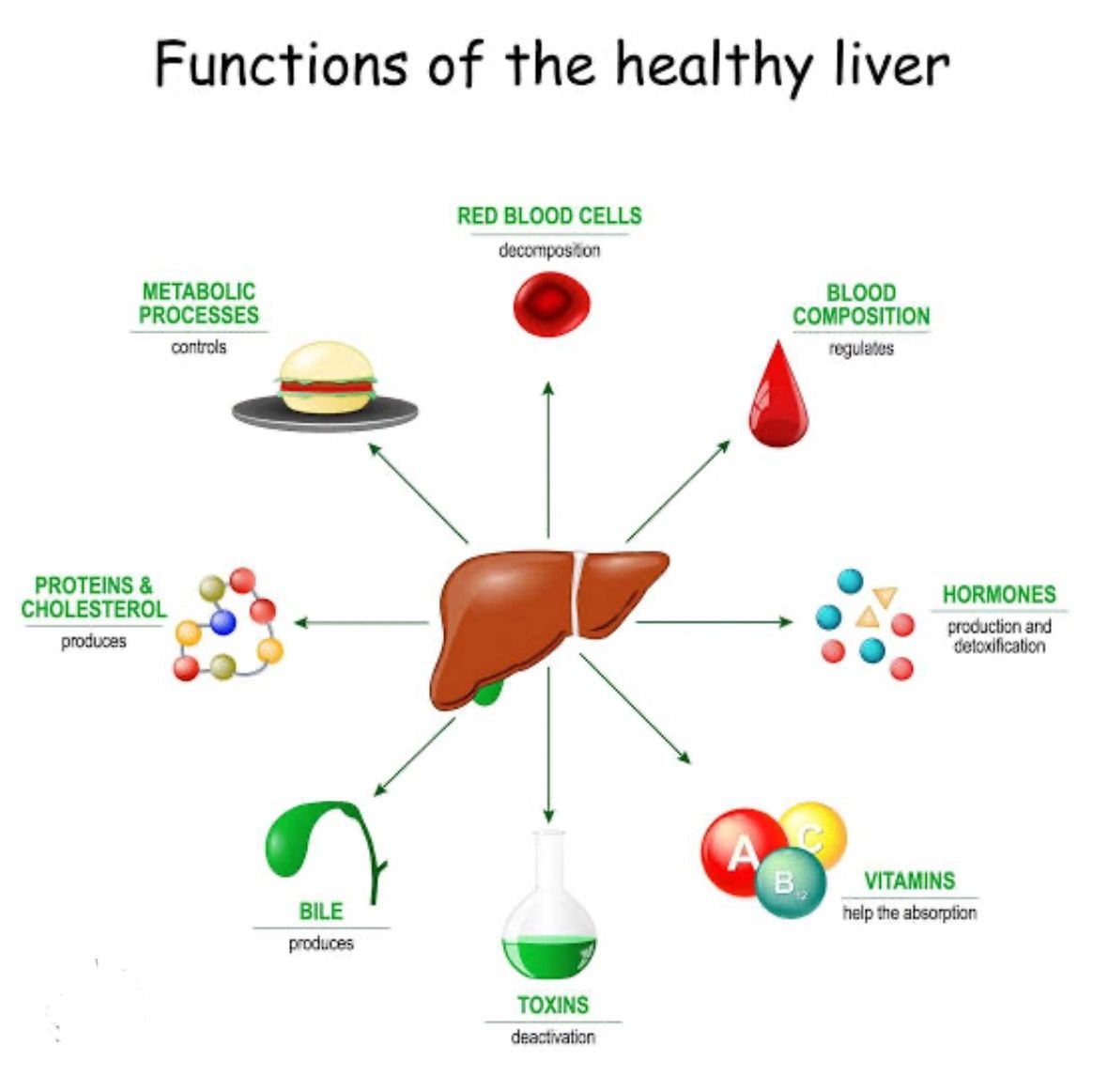 Three Functions of Liver