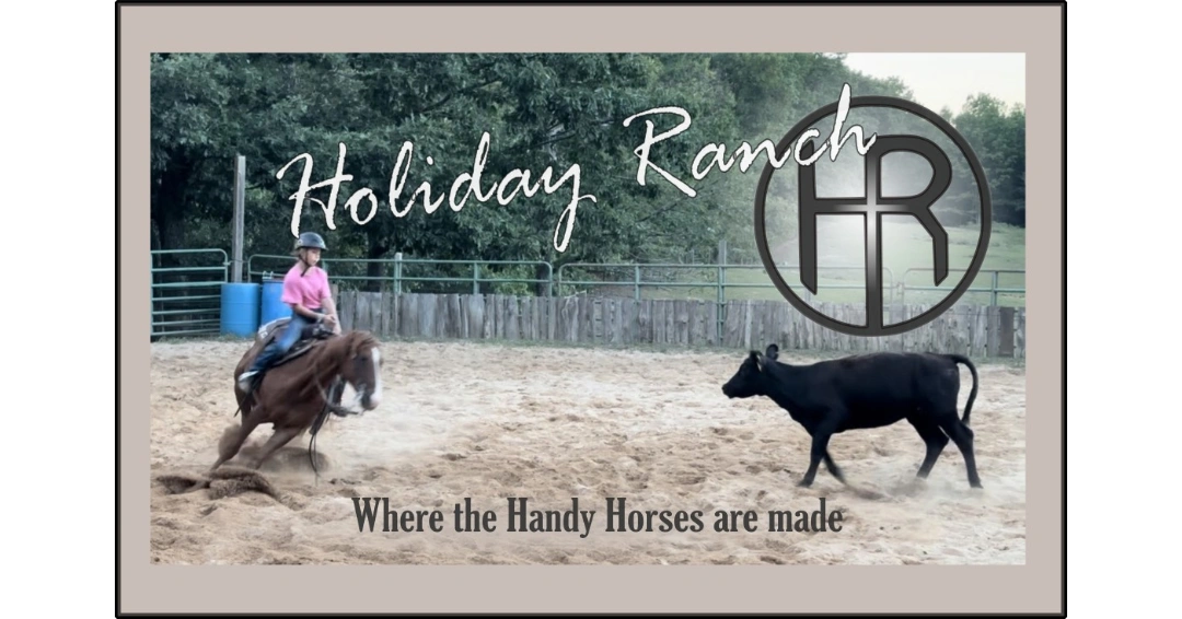 Horse Boarding - The Holiday Ranch
