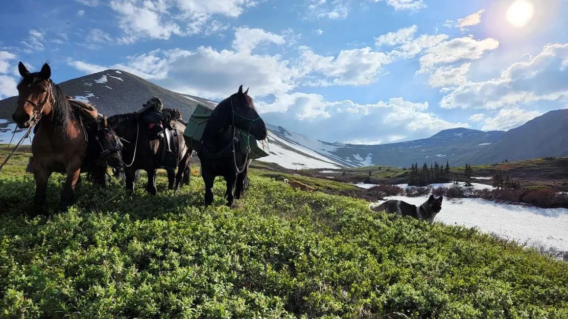 Riding with Caribou:Connecting with Nature amidst Hart River Herd