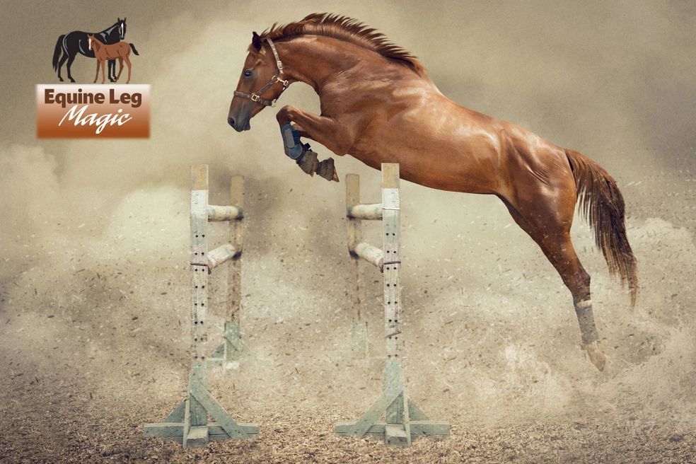 Curative Natural Horse Minerals | Equine Leg Magic, LLC