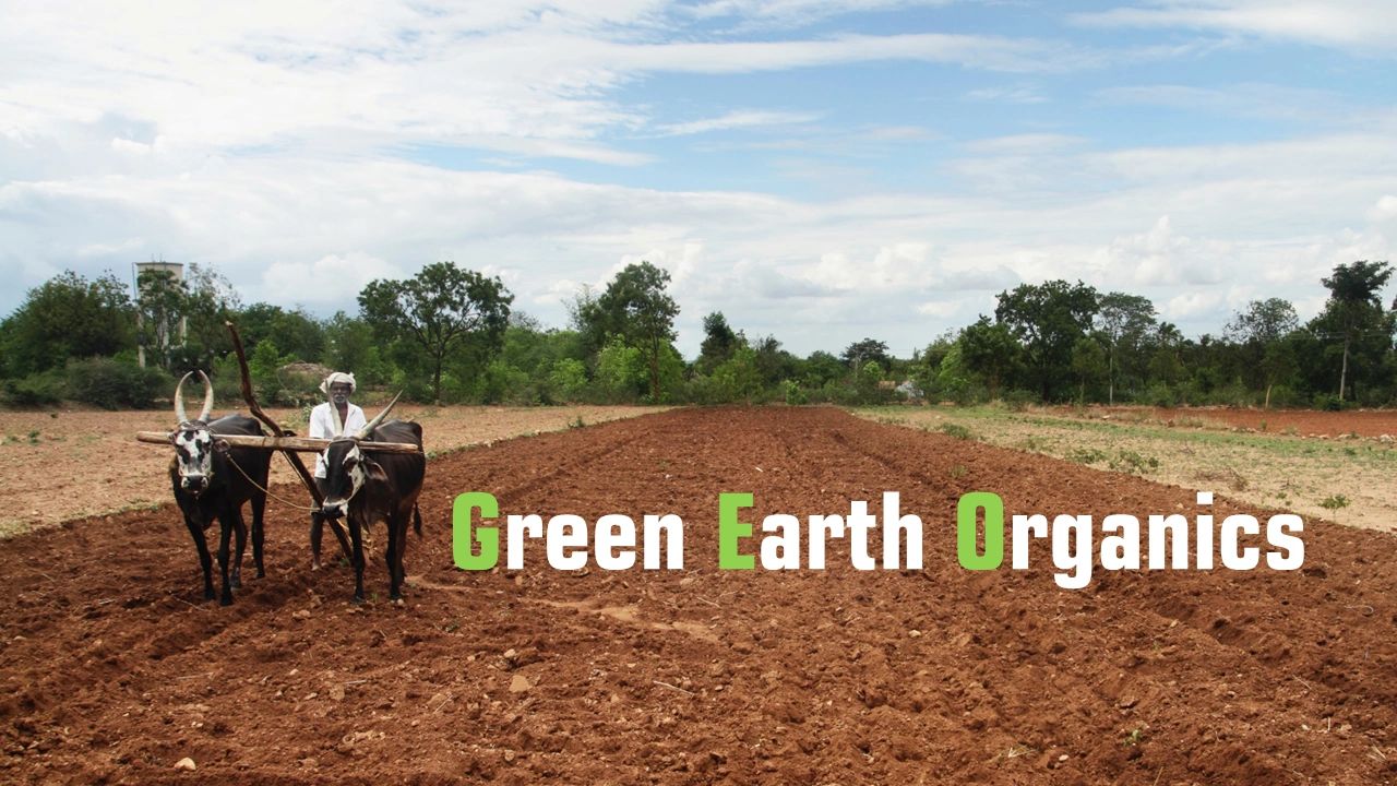 About us | Green Earth Organics