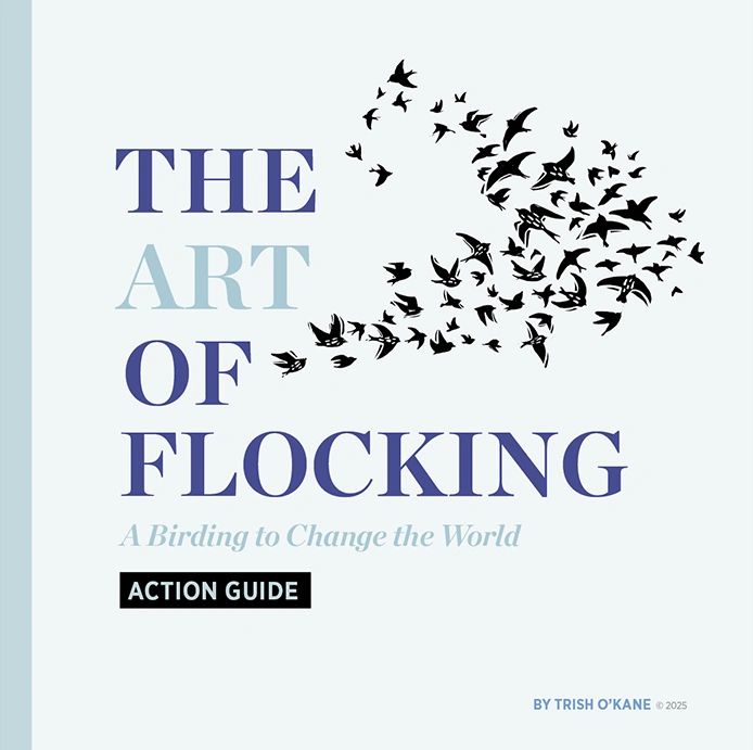 Book's activist guide