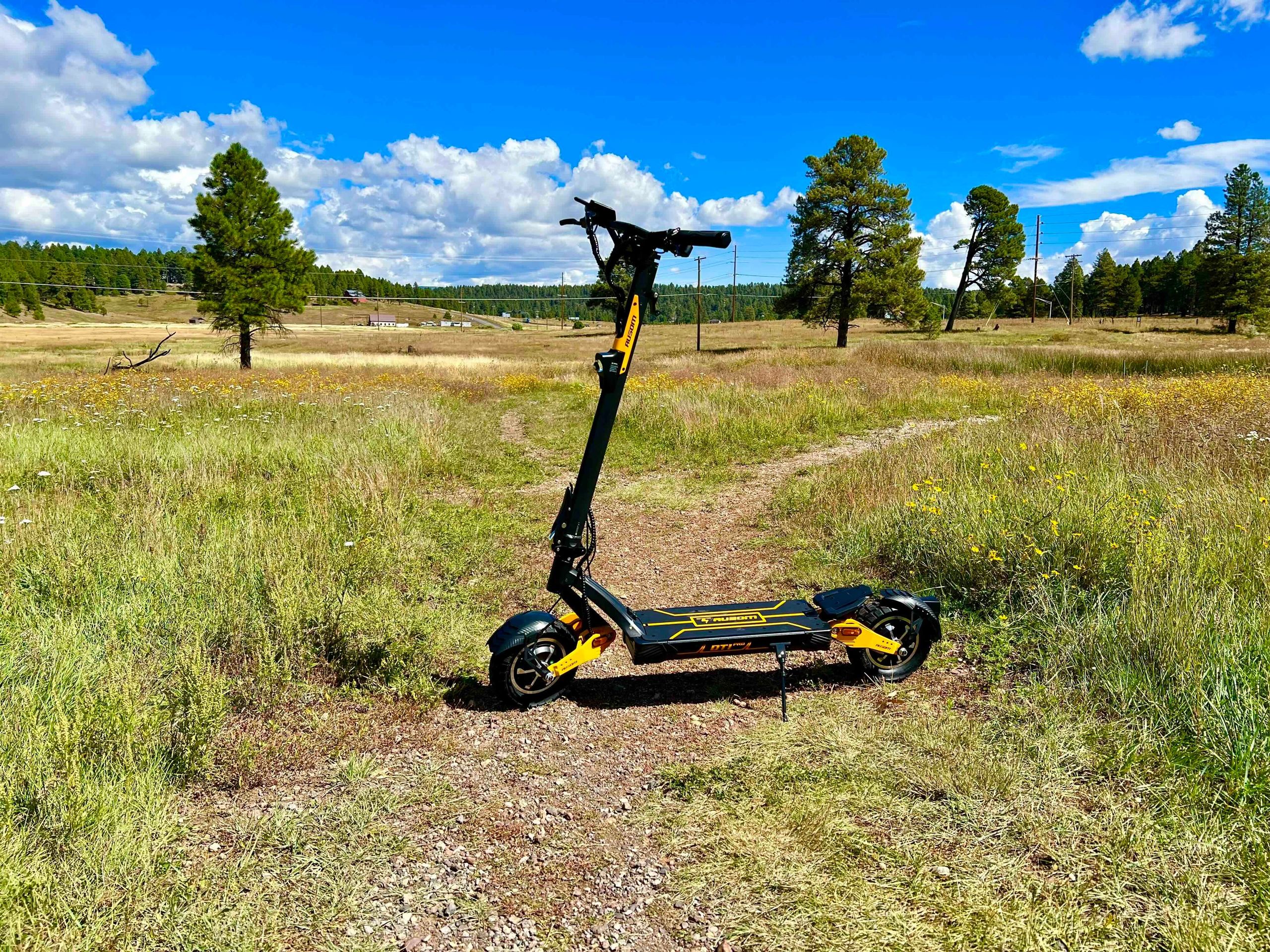 Ausom Leopard DT1 Pro Electric Scooter: First Impressions Ride