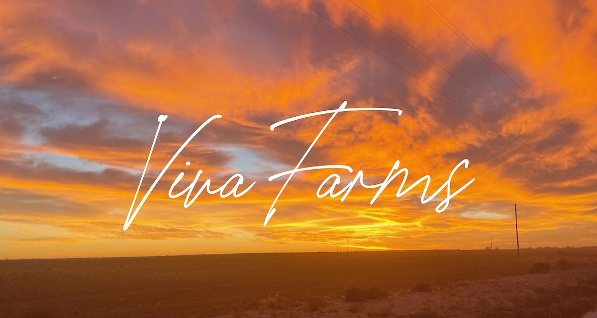 Viva Farms