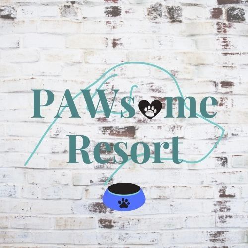 Pawsome Resort