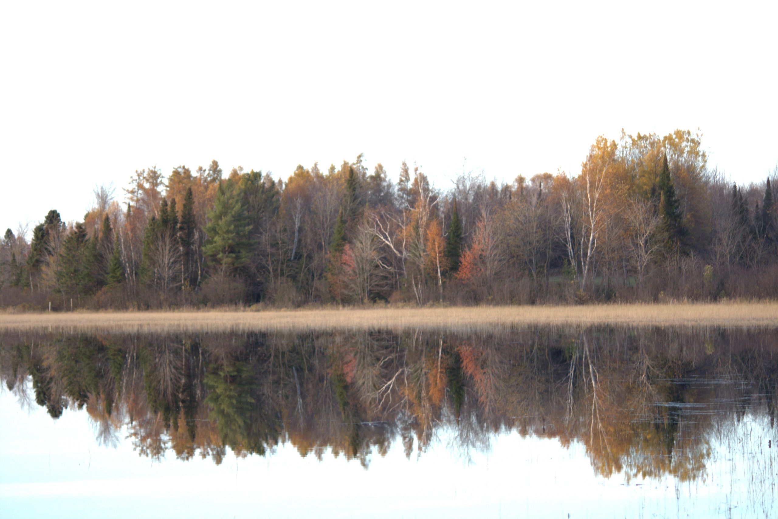 Snowmobile Trails