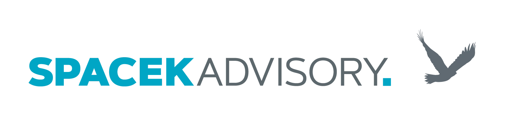 Spacek Advisory - Advisory Services, Business Transformation