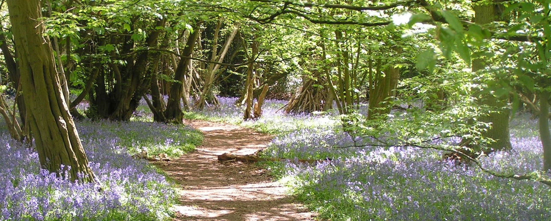 Poems - GardeningNature