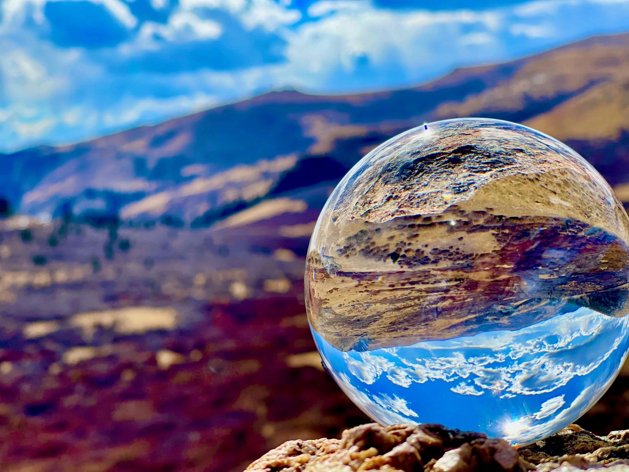 Stunning Design Creations | Darley Designs