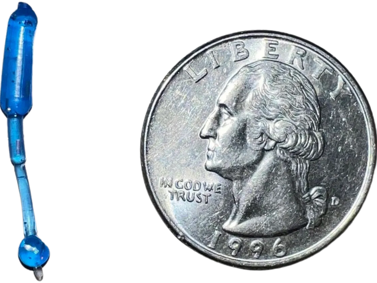 Teeny Weeny Ocean Blue (20 per pack