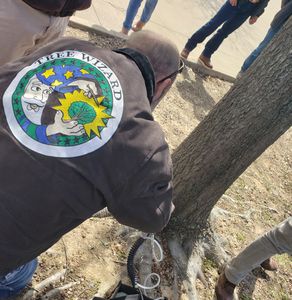 Tree Services - Tree Wizard LLC