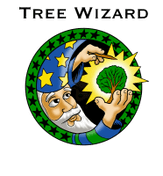 Tree Wizard