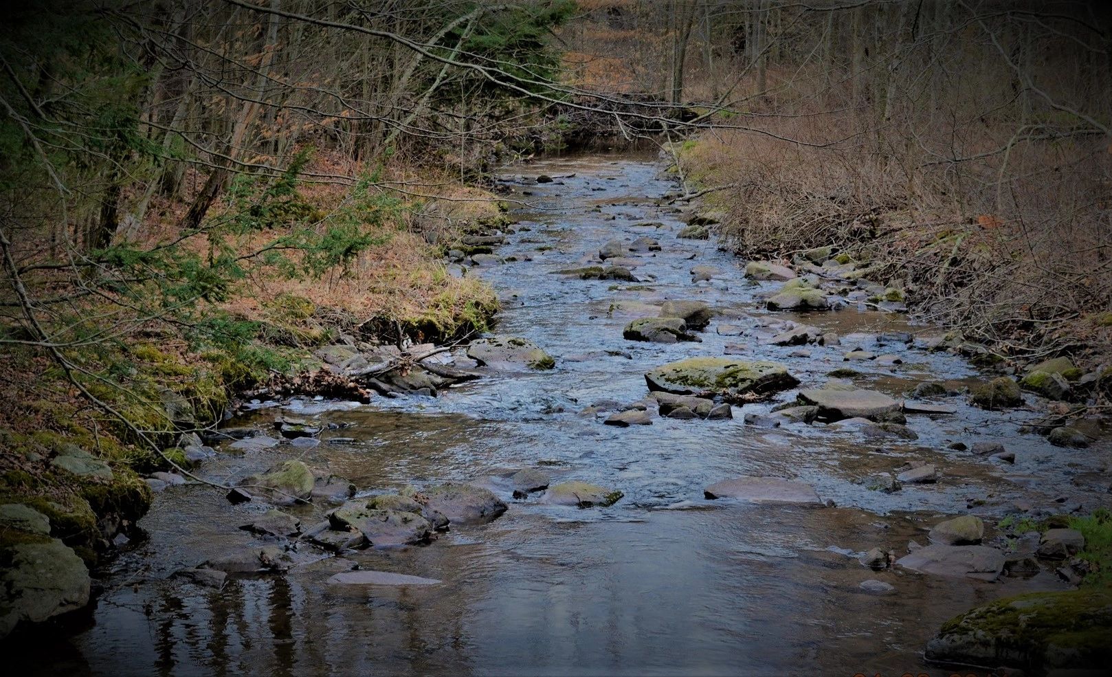 Bluestone Environmental Inc