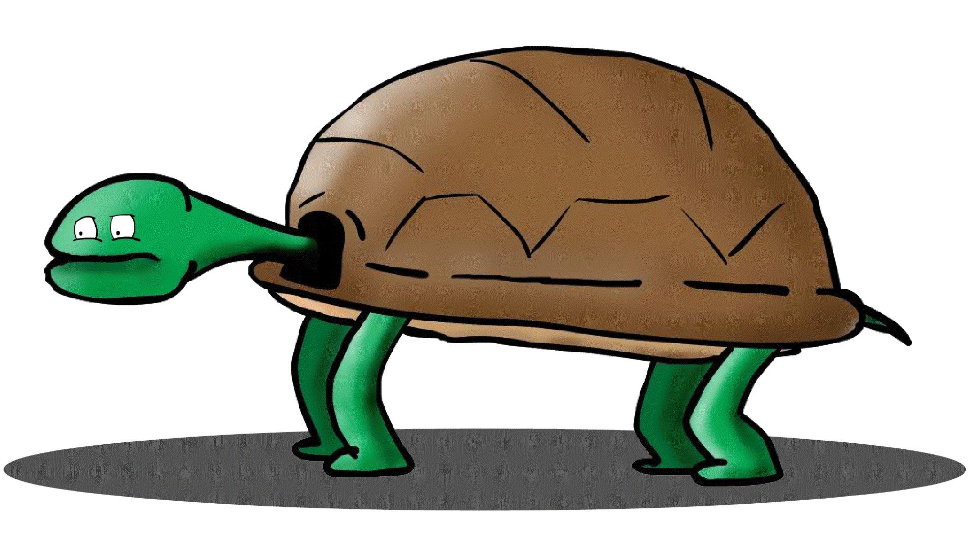 TurtleStop