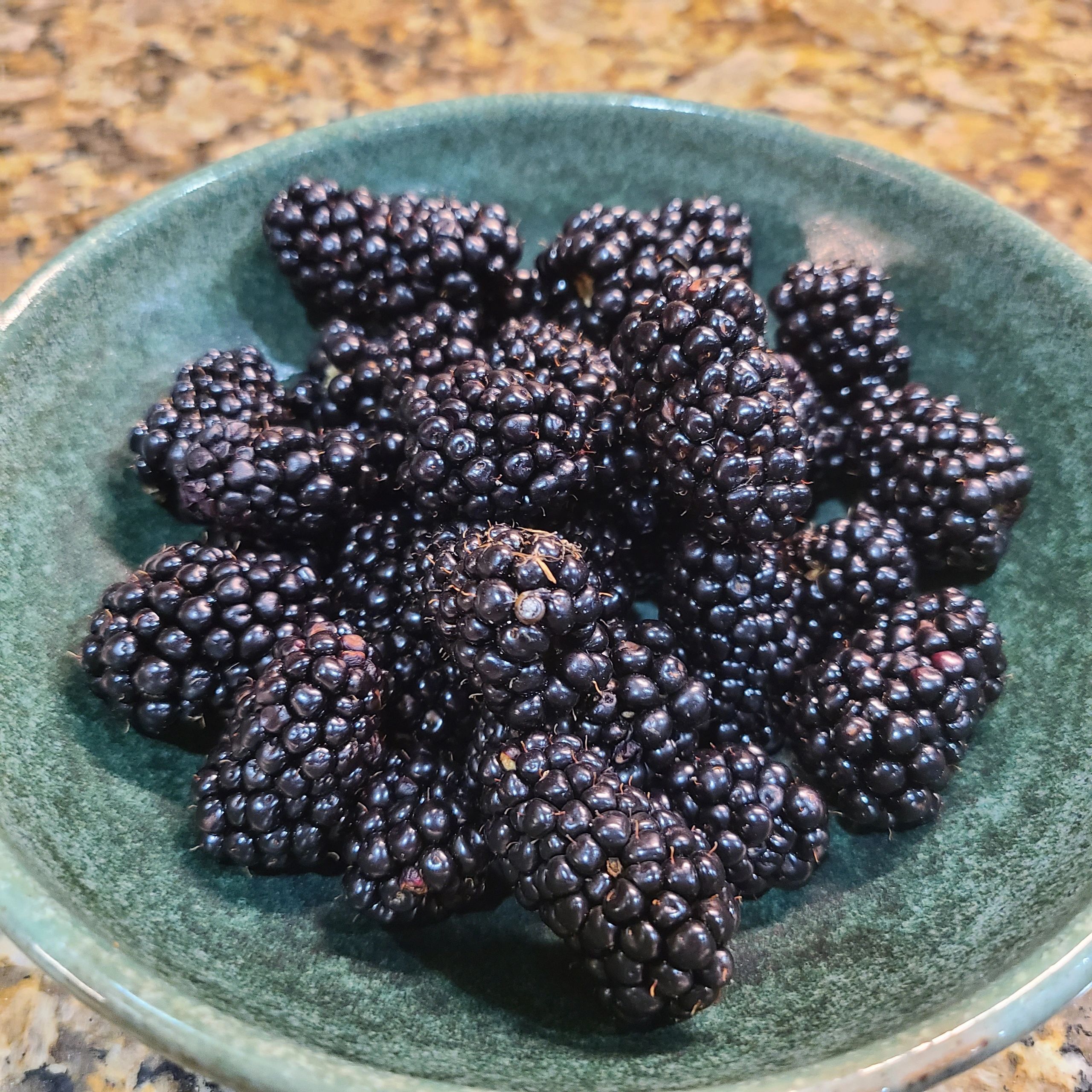 Welcome | Solshine Acres