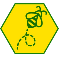 Bee Liner Lean Services