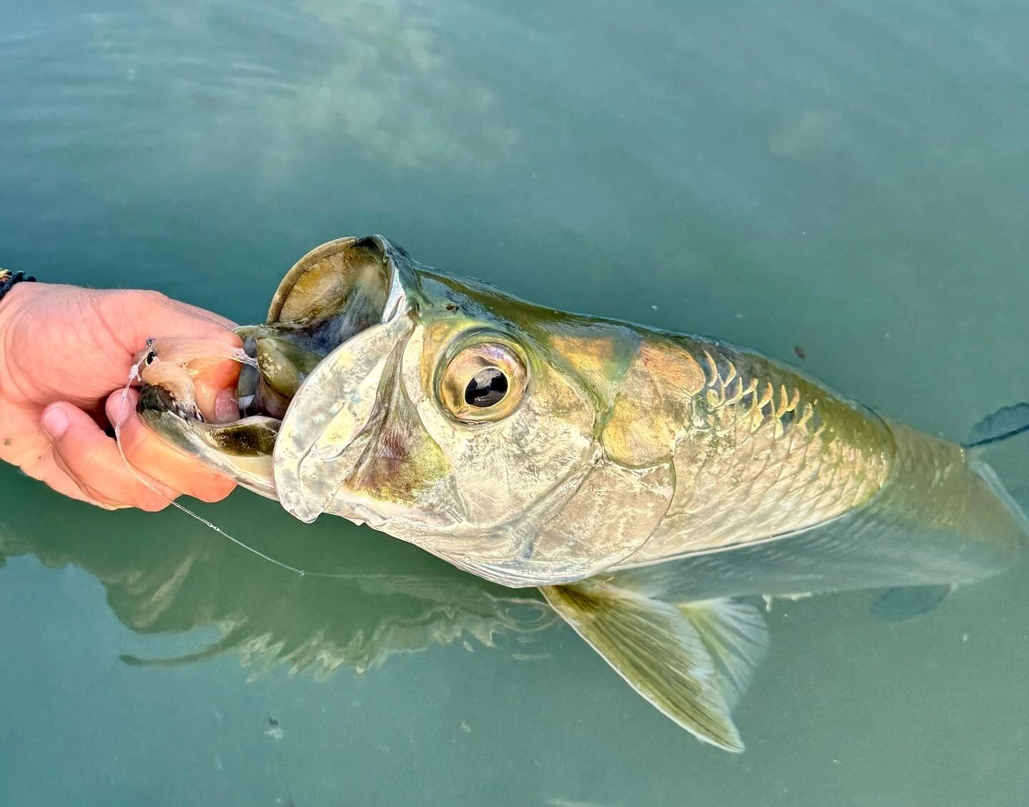 Fishing Guide Charlotte Harbor Florida | Captain Karl Romboy