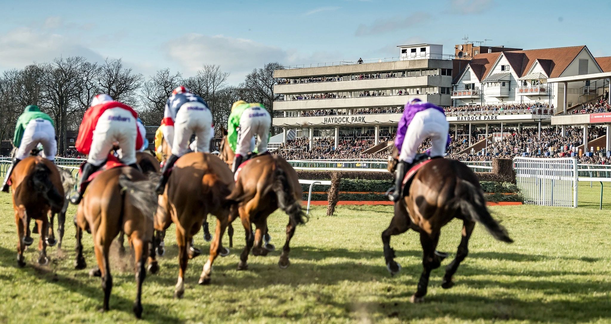 Are Dogs Allowed At Haydock Races