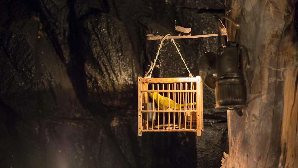 Canary in the Coal Mine - The American Mustang