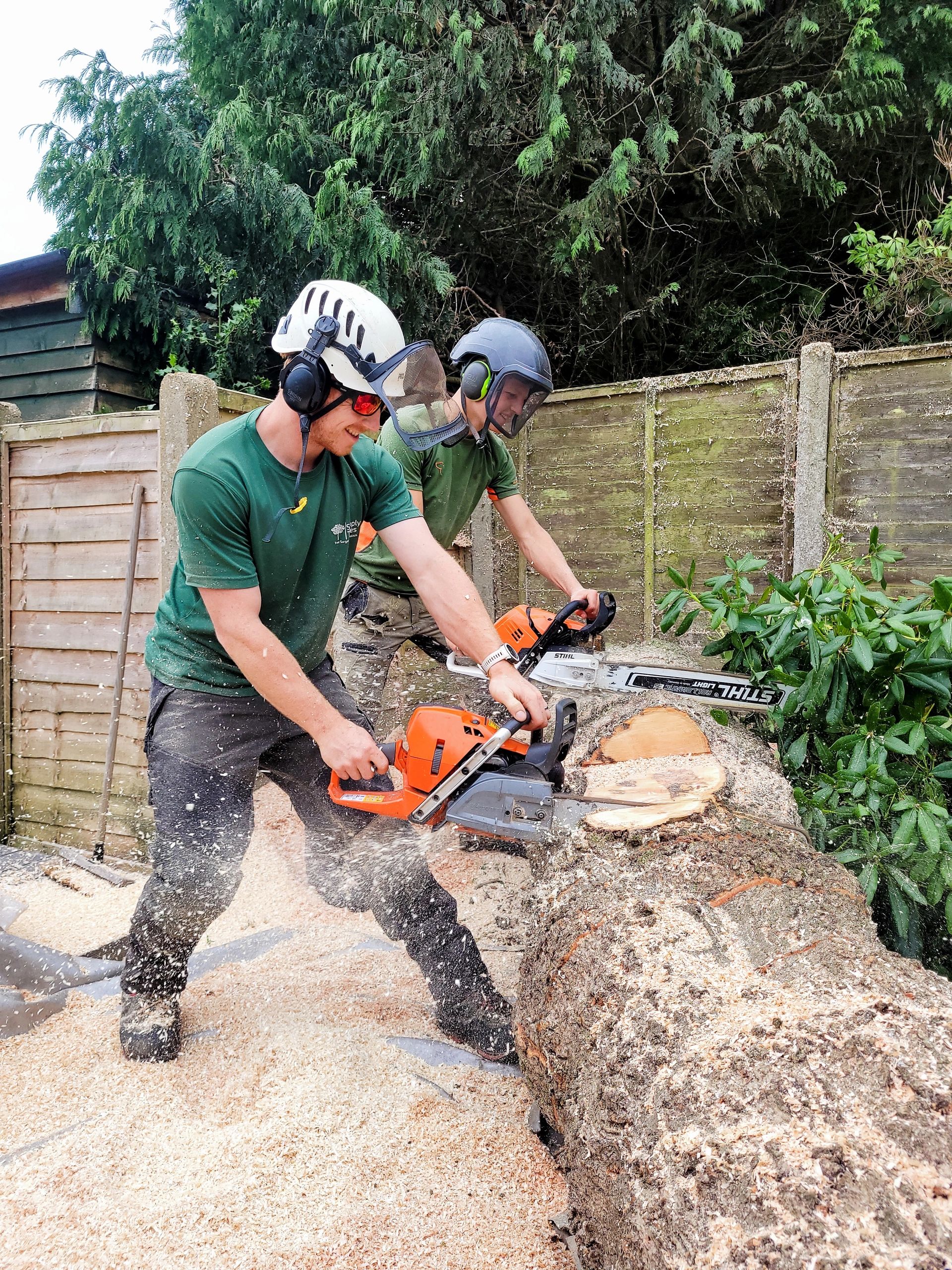 Simply Trees - Tree Surgery, Hedge Cutting