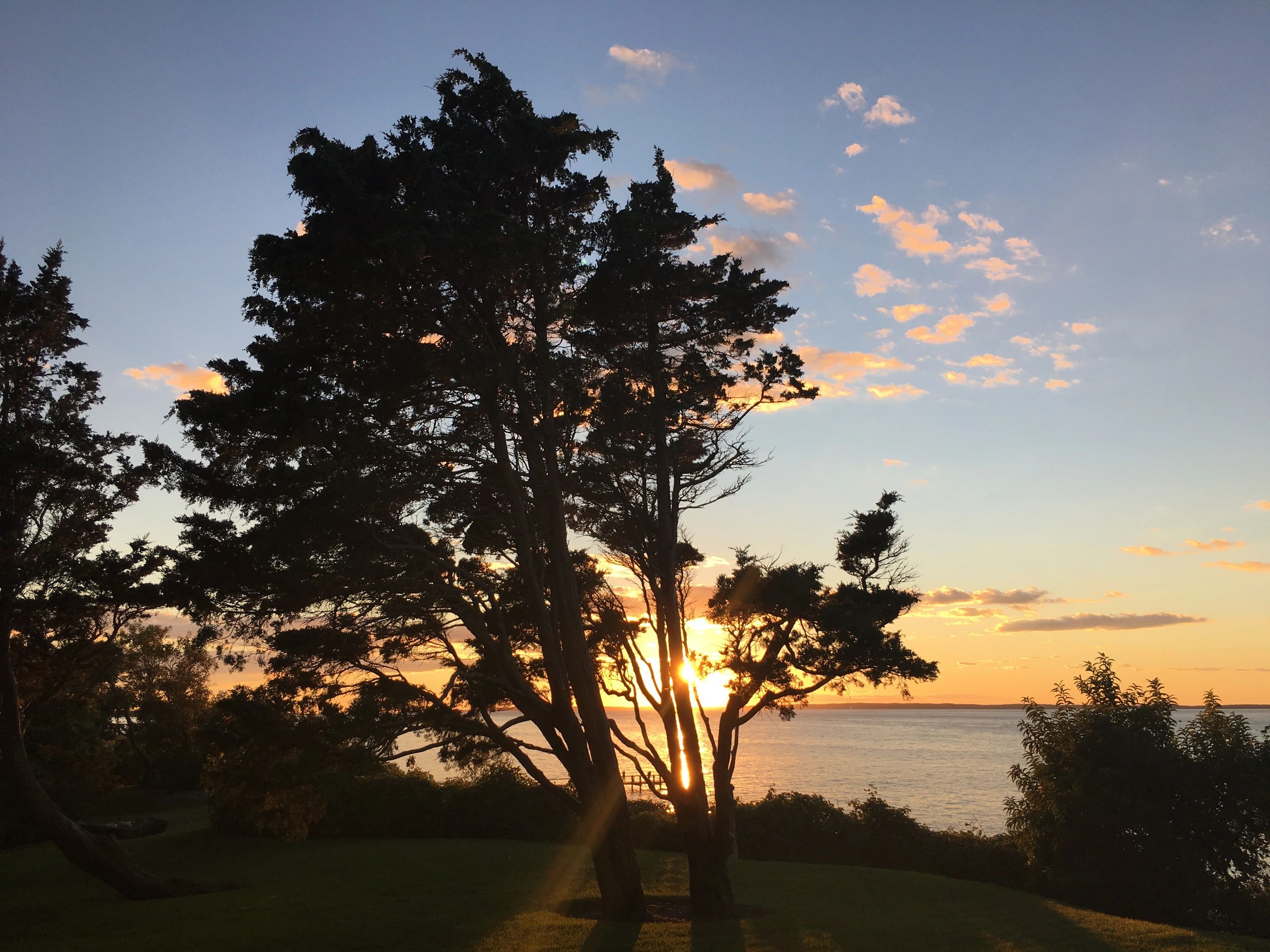 West Chop Community Fund