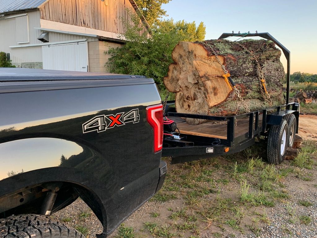 Log Removal and Salvage