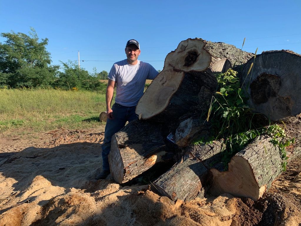 Log Removal and Salvage