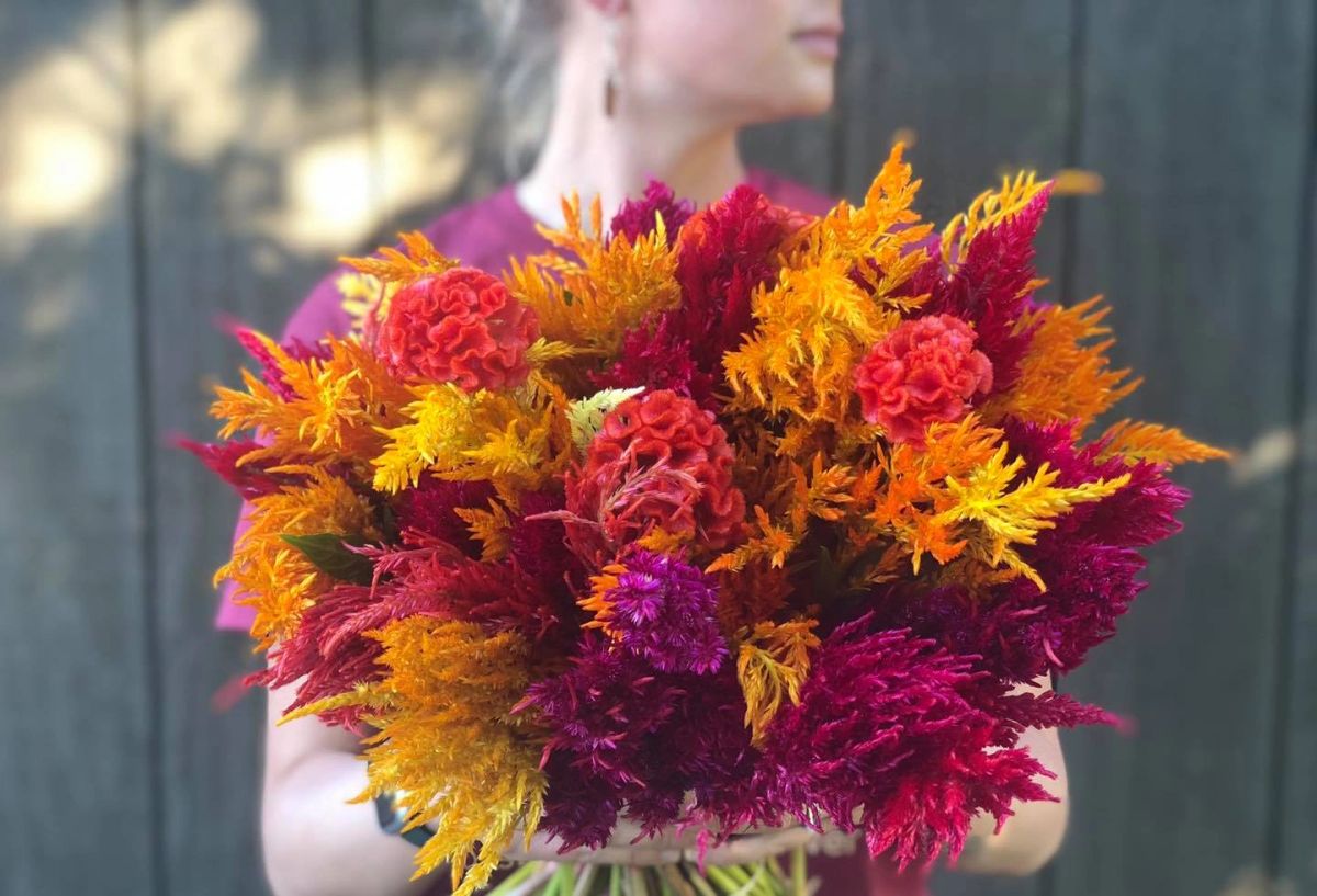 Farm Flowers